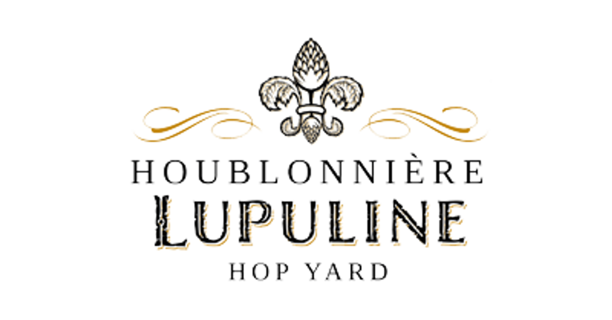 Notre histoire – Lupuline